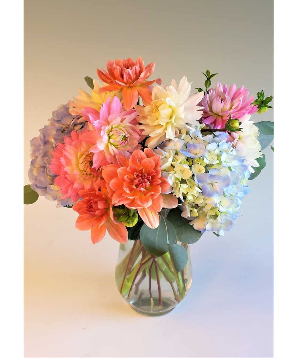 The Arrival Of Fall Flowers