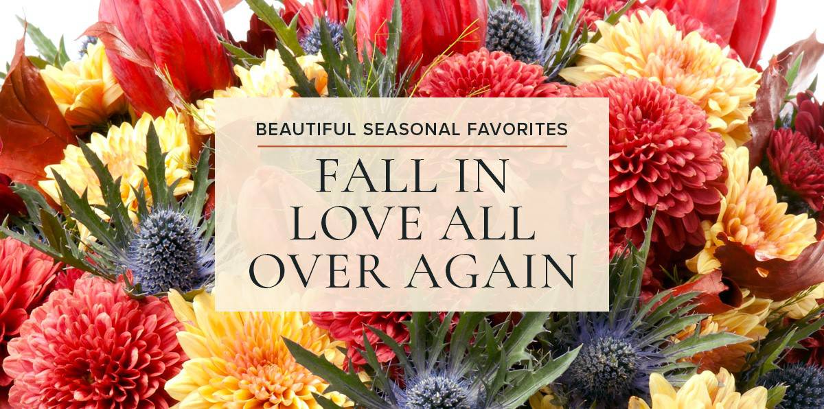 The Arrival Of Fall Flowers